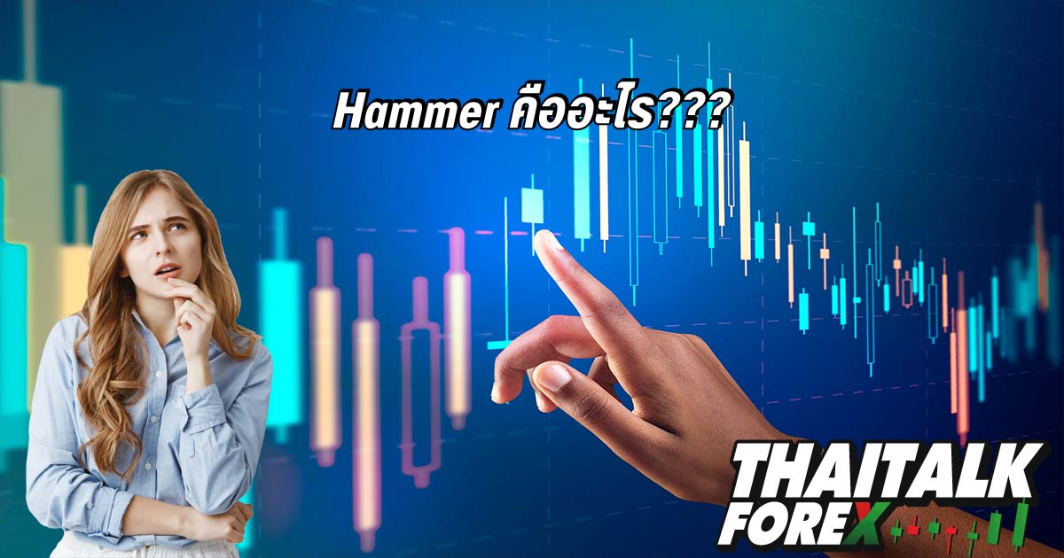 Hammer คืออะไร??? - THAITALK FOREX